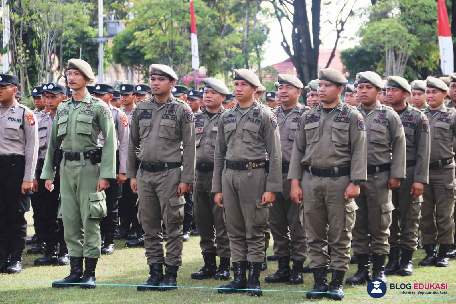 Polisi Pamong Praja: Tugas, Peran, dan Karier Pemula